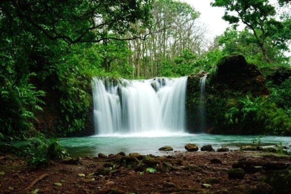 Mainpat Best Tourist Place To Visit In 2025